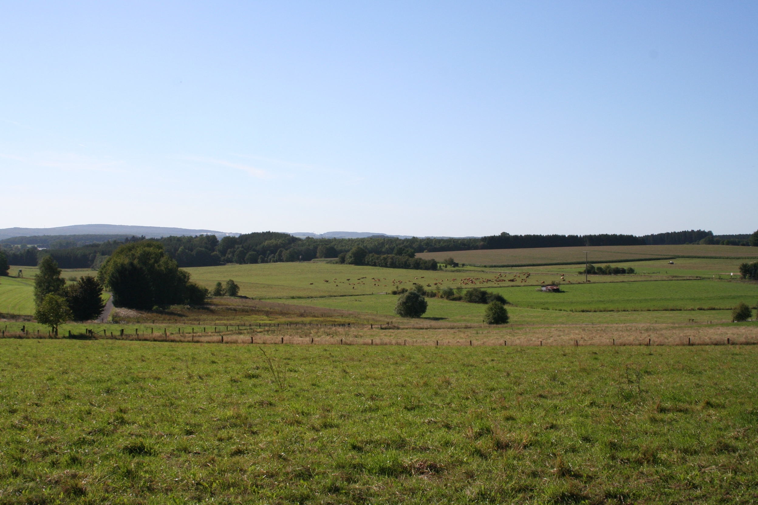 Sessenhausen | Startseite